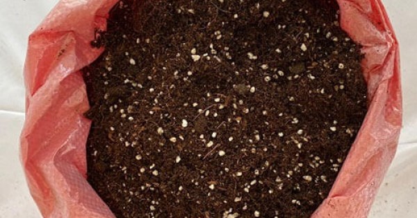 İthal Torf + Gübre + Perlit Karısım 40 Litre - Yapıtaş İnşaat Peyzaj